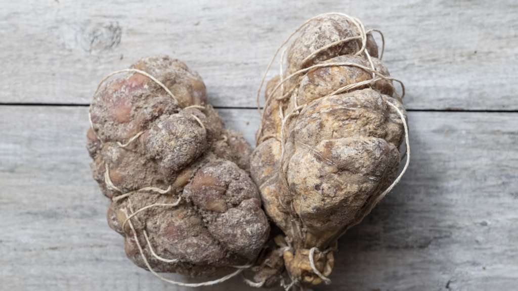 Salame Mariola - Assapora Piacenza